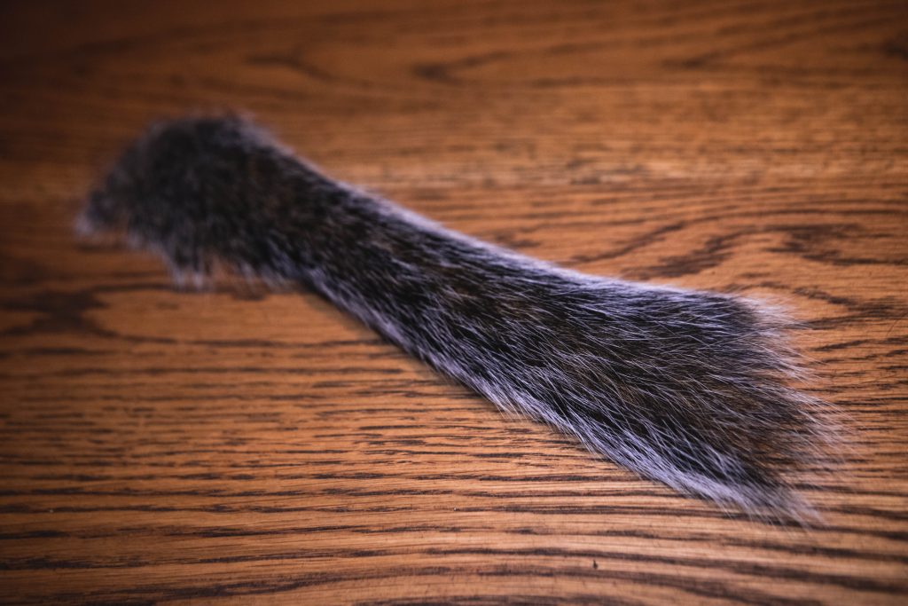 Squirrel Tail - Stream and Sea