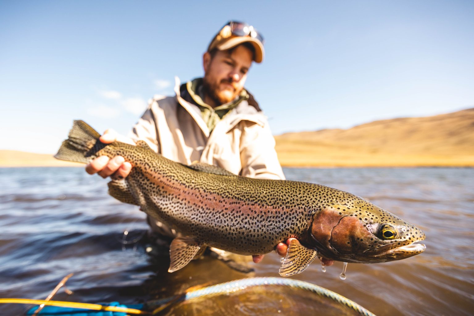 How to Find Rainbow and Brown Trout in South African Stillwaters ...